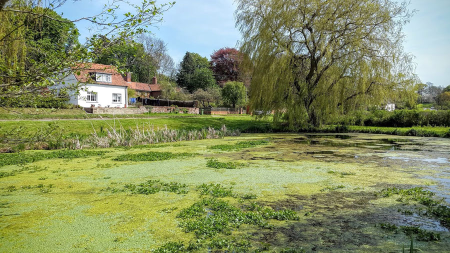 The Boudicca Way - Martin Black